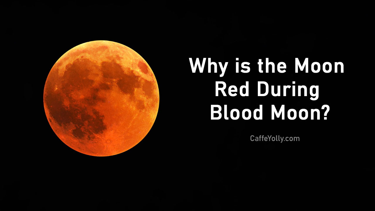 Total Lunar Eclipse Explained: The Blood Moon, Myths and Science